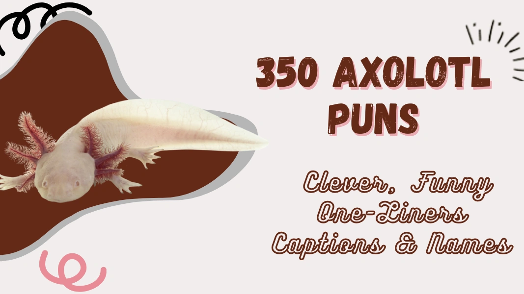 350 Cute Axolotl Puns: Clever, Funny One-Liners Captions & Names ...