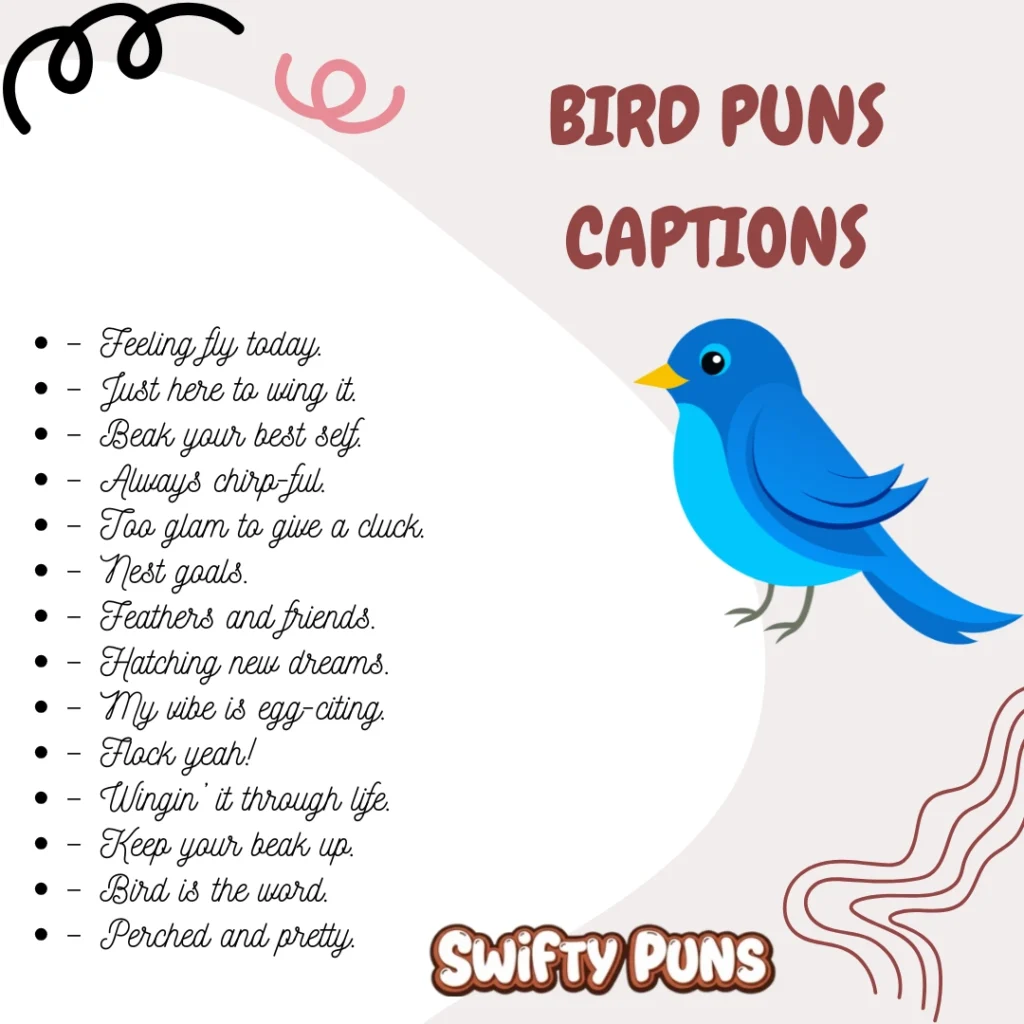 520 Bird Puns: Short, Cute Birthday Valentines Day One-Liners Captions ...