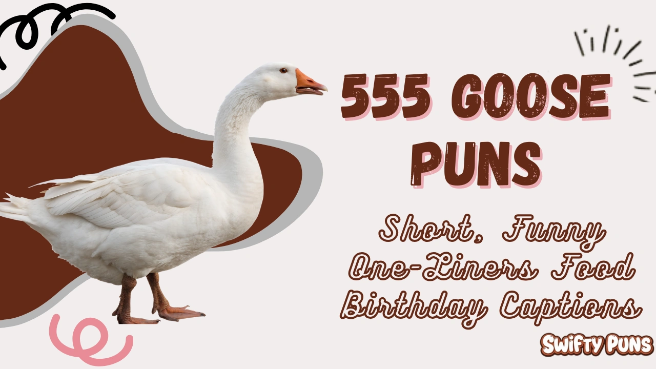 555 Goose Puns: Short, Funny One-Liners Food Birthday Captions - Swifty ...