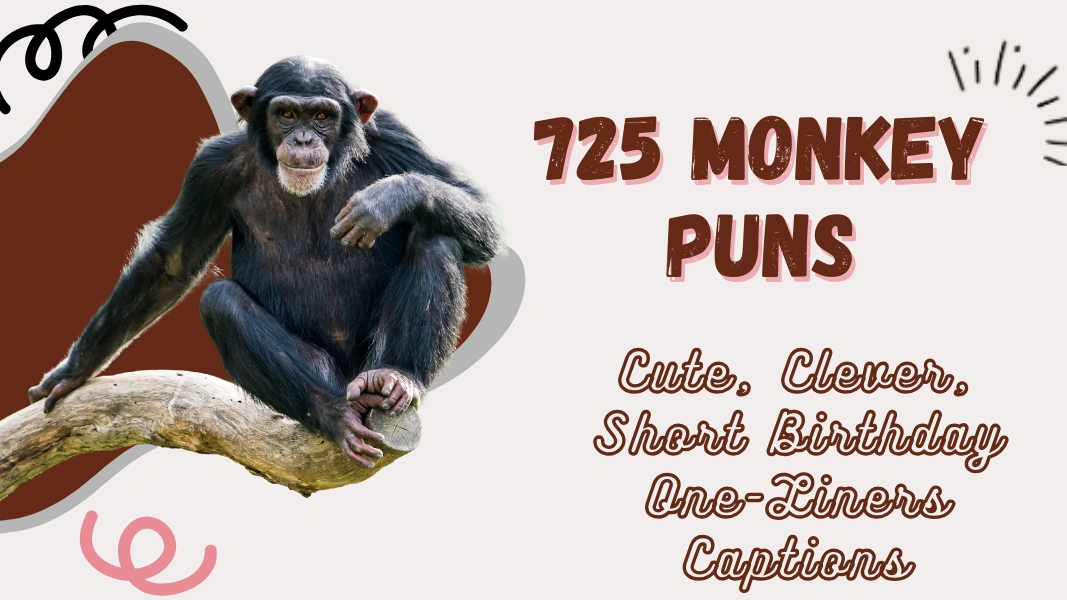 725 Monkey Puns: Cute, Clever, Short Birthday One-Liners Captions ...