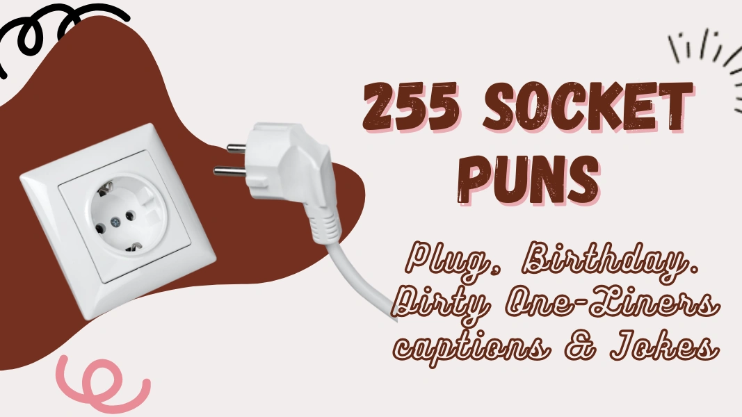 255 Socket Puns: Plug, Birthday. Dirty One-Liners captions & Jokes ...