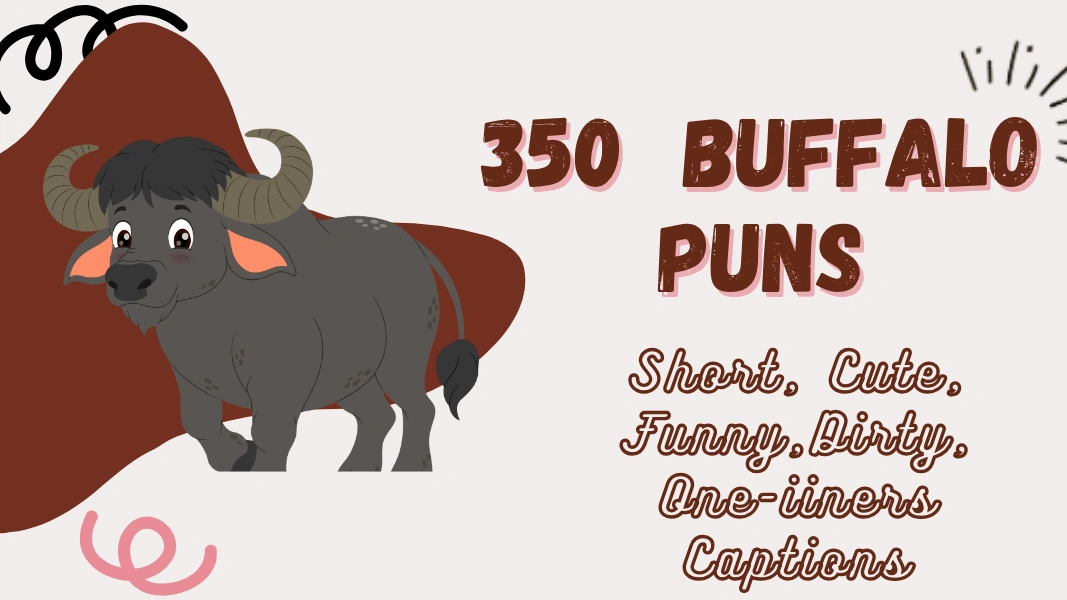 350 Buffalo Puns: Funny, Short, Cute, Dirty one liners & captions for ...