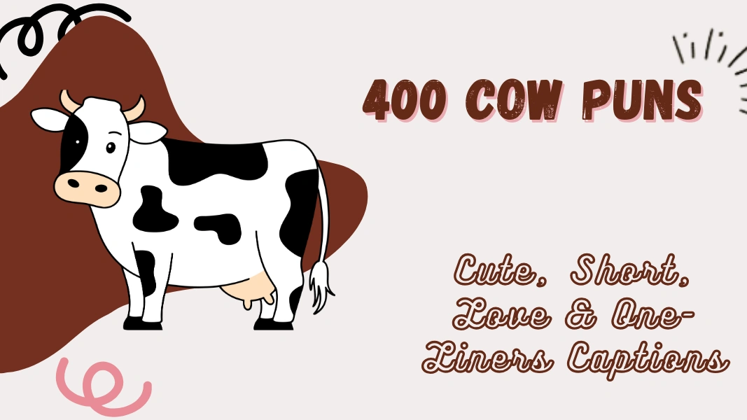 400 Cow Puns: Short, Love, Cute One-Liners Captions & Names For ...