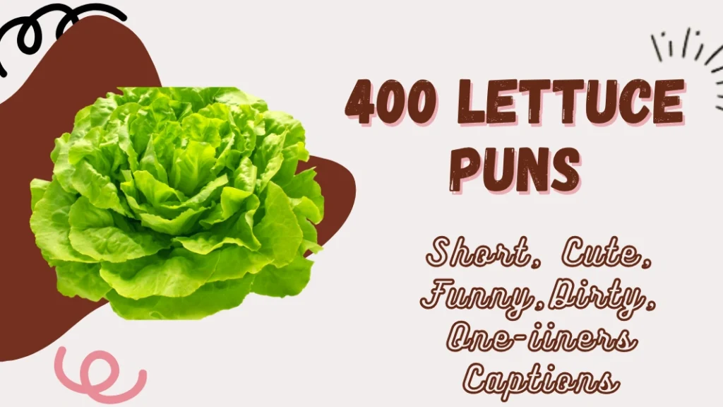 400+ Lettuce Puns: Funny, Short, Cute, one liners & captions for Adults ...