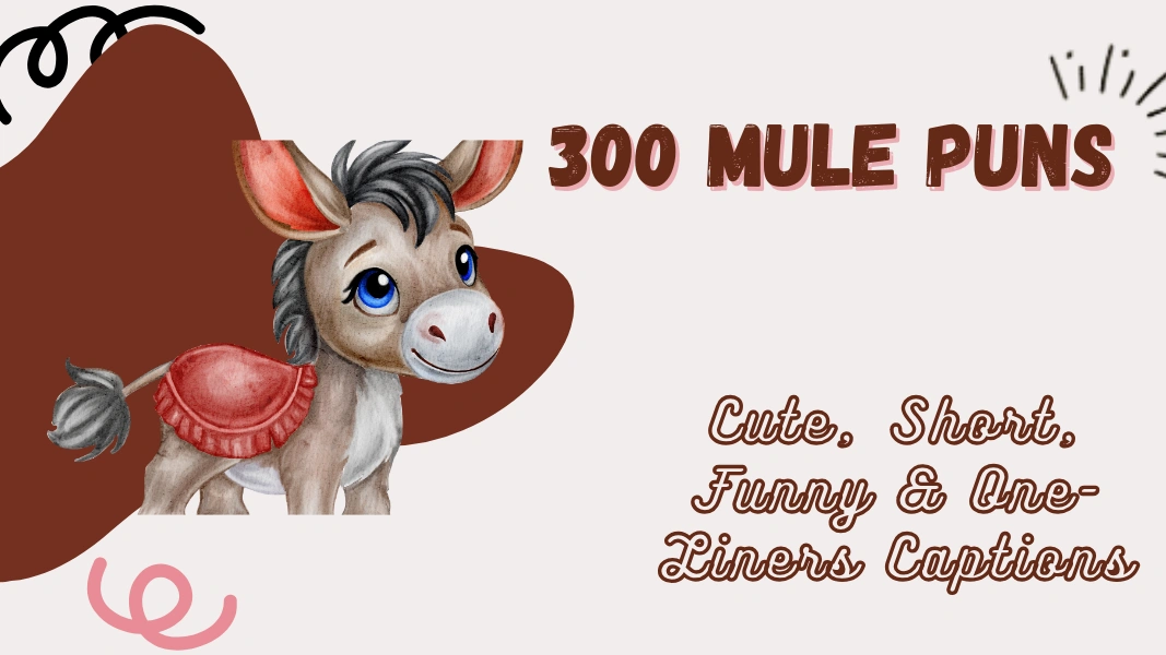 300 Best Mule Puns: Short, Cute, Funny, One-Liners & Captions For ...