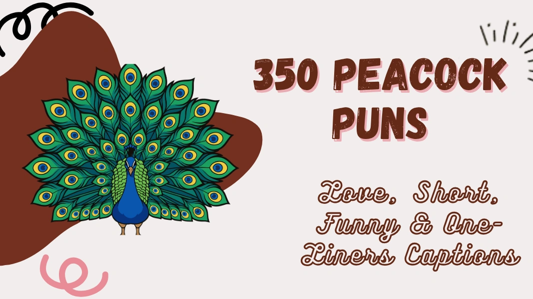 350 Peacock Puns: Short, Funny, Love, Cute, Dirty One-Liners & Captions ...